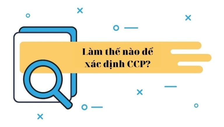 CCP là gì? 1 số phương pháp giúp xác định đúng CCP - honghoafood.vn